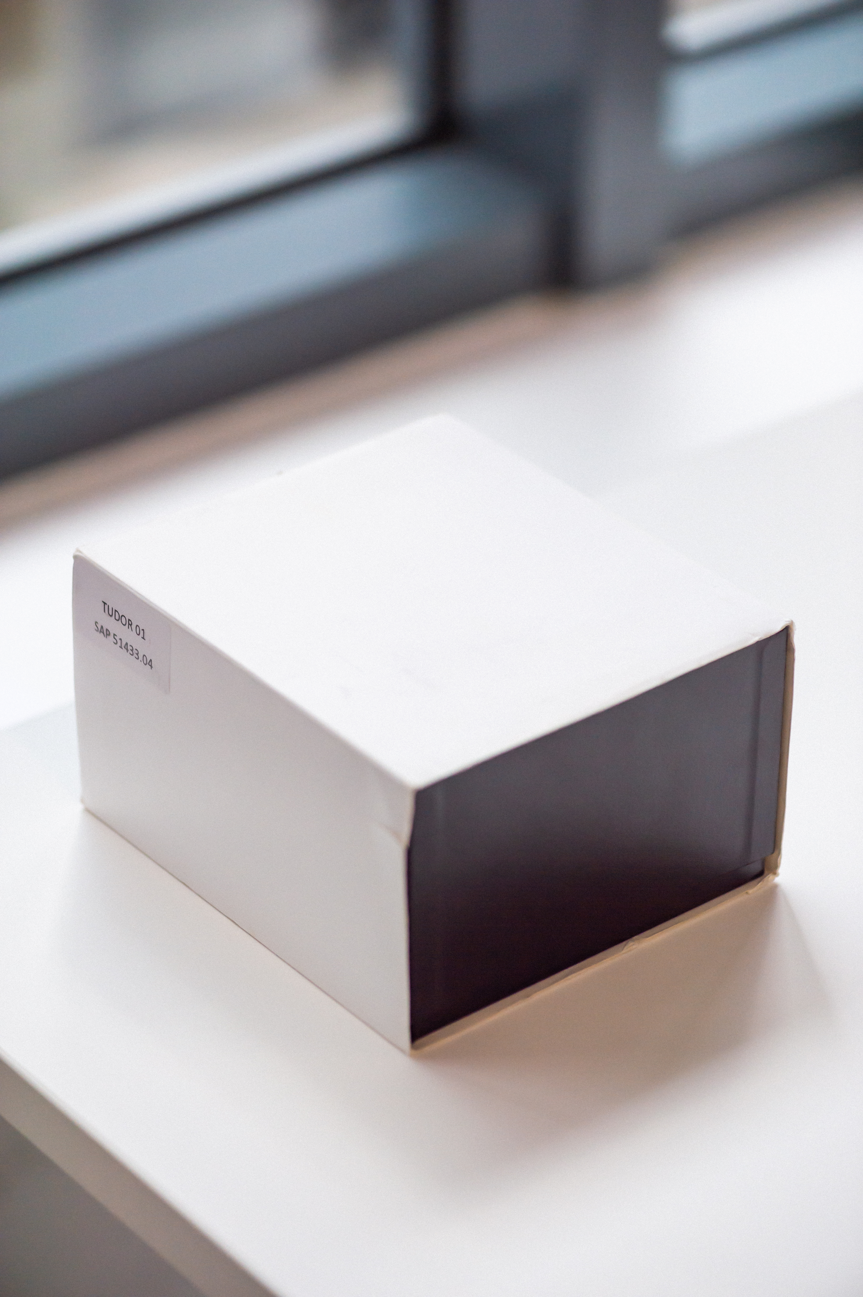 2022 TUDOR BLACK BAY FIFTY-EIGHT 'RASP'